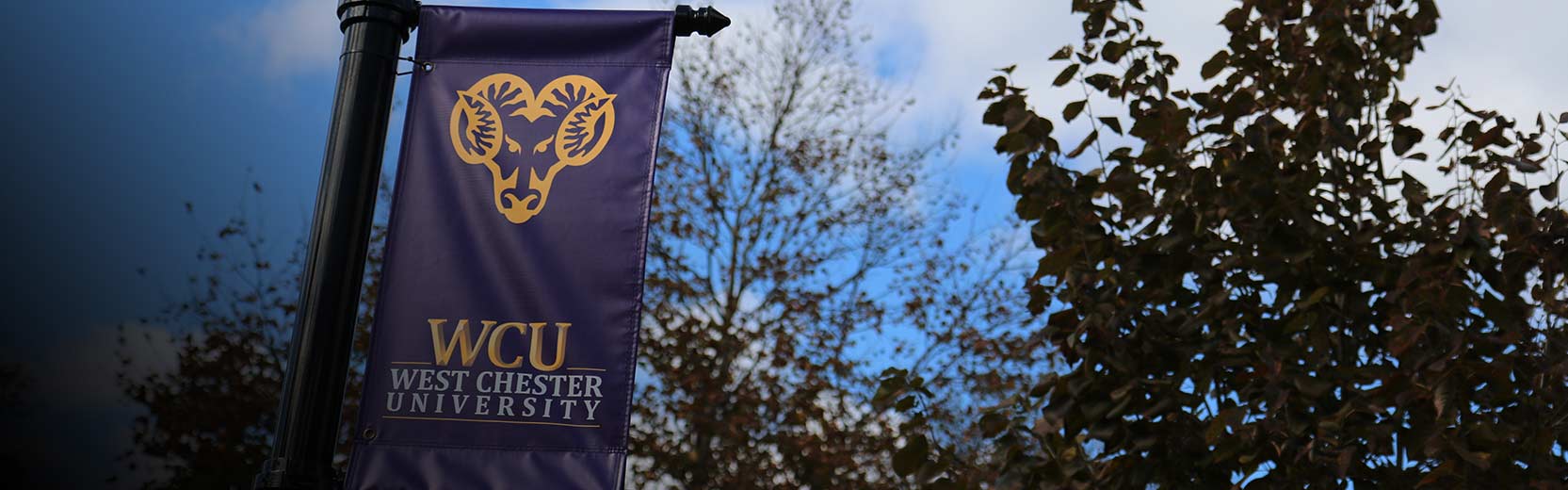 Master of Science in Higher Education Policy and Student Affairs - WCU ...