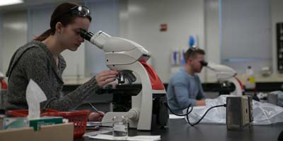 Assessment & Bookings - WCU of PA